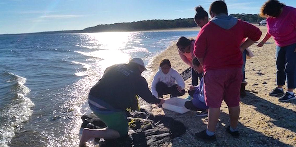 Program allows students to conduct research on Indian River Lagoon ...