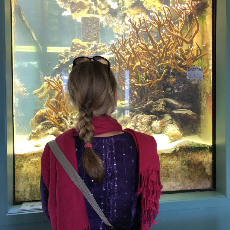 tcbusiness.com – Smithsonian Marine Ecosystems Exhibit turns 20